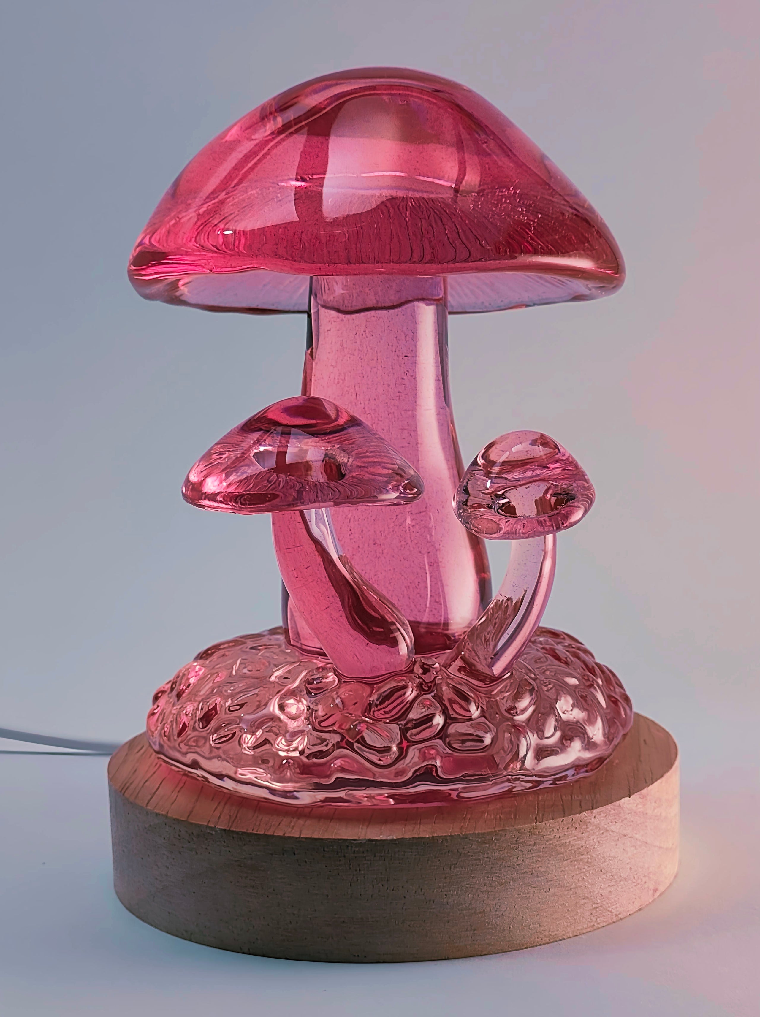 Mushroom Resin Lamp | Handmade Epoxy Night Light with LED Wooden Base ...